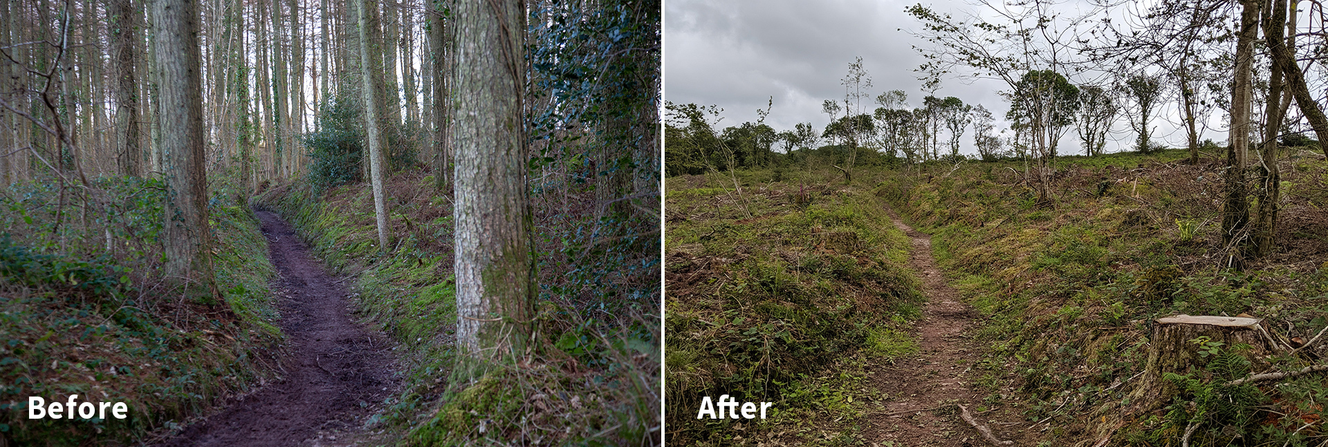 - Narberth Nobbler - Trail running Pembrokeshire